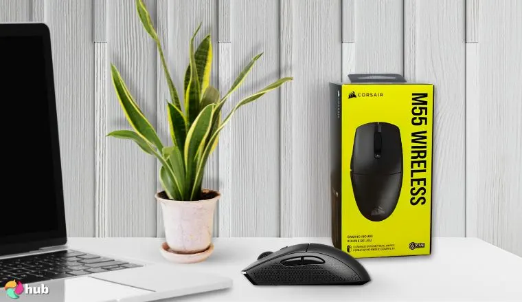 9 Best Corsair Mouse Picks Ranked in 2026 | Eneba Hub