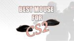 Best Mouse for CS2 in 2025 | Improved Gameplay | Eneba Hub