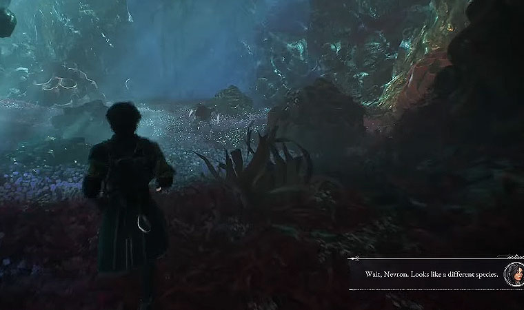 Best Xbox RPG Games 2025 | Top Picks Reviewed – Eneba Hub