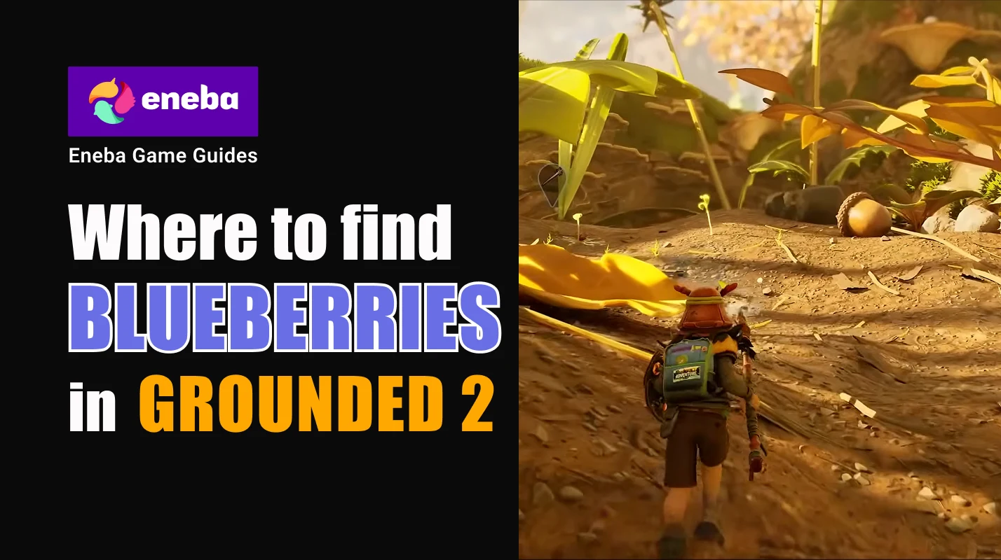 Where to Find Blueberries in Grounded 2: Locations, Harvesting, and Crafting - Eneba