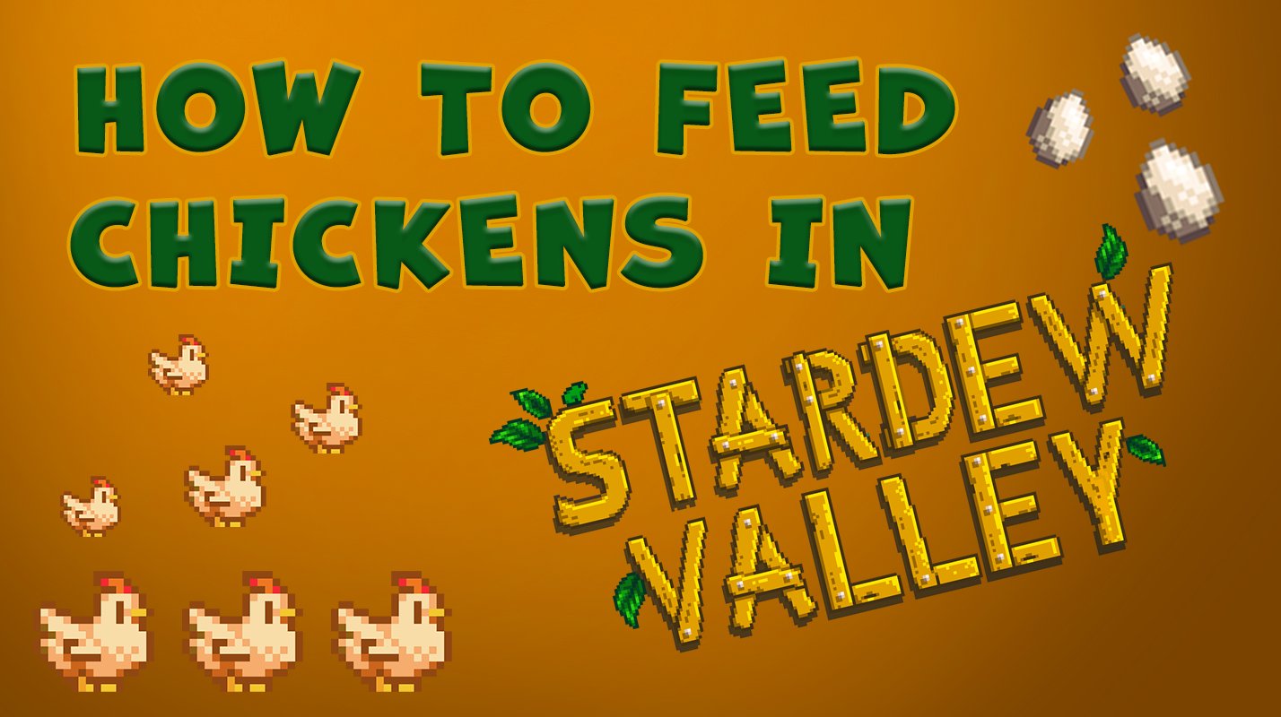 How to Feed Chickens in Stardew Valley: Complete Guide 2026