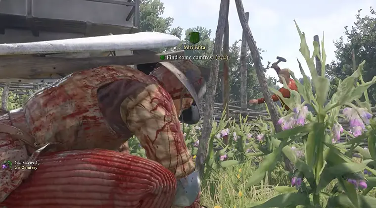 Where to Find Comfrey in KCD2: Locations, Gathering, and Potions - Eneba