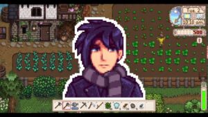 What Does Sebastian Like in Stardew Valley? | Eneba Hub
