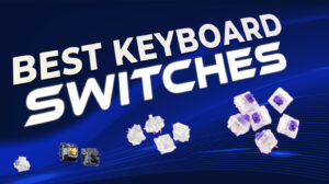 10 Best Keyboard Switches in 2026 for Gaming & Typing