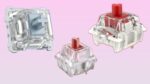 Linear vs Tactile Switches: Key Differences Explained