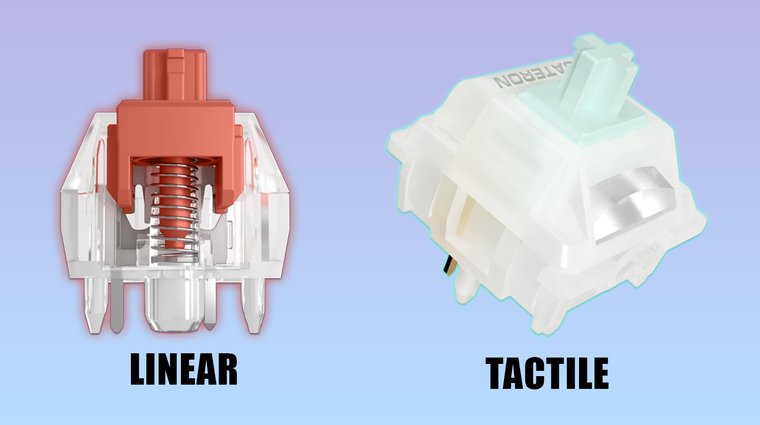 Linear vs Tactile Switches: Key Differences Explained