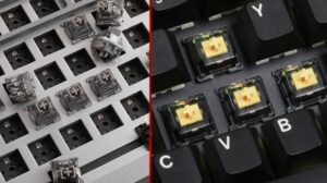 10 Best Keyboard Switches in 2026 for Gaming & Typing