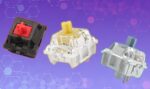 Tactile vs Linear vs Clicky Switches: Complete Guide